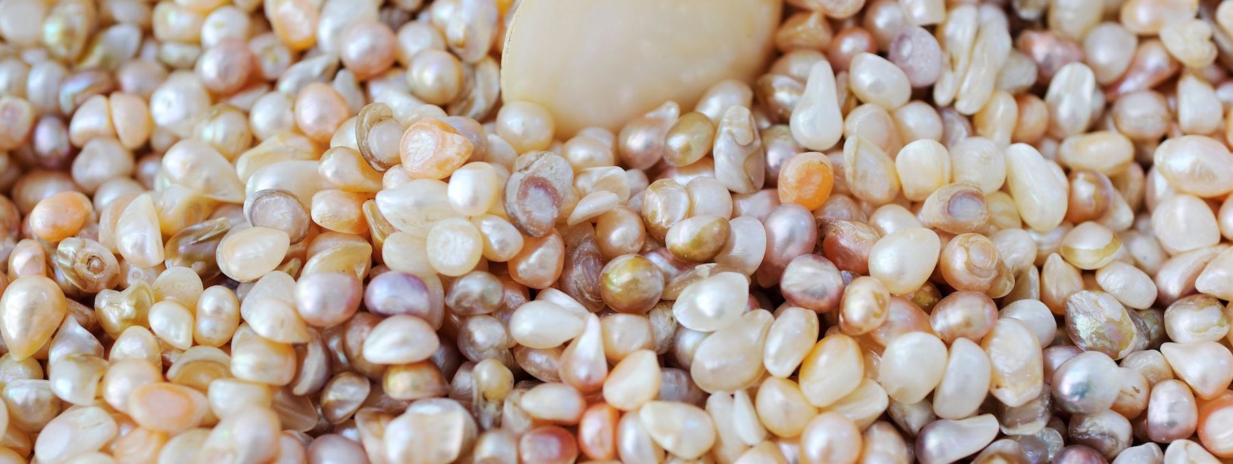 All About Freshwater Pearls: The Affordable Luxury – LYANG & CO.